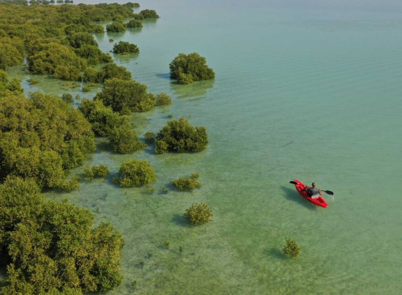 Best Beaches in Qatar - Voyagco | Discover Doha Qatar